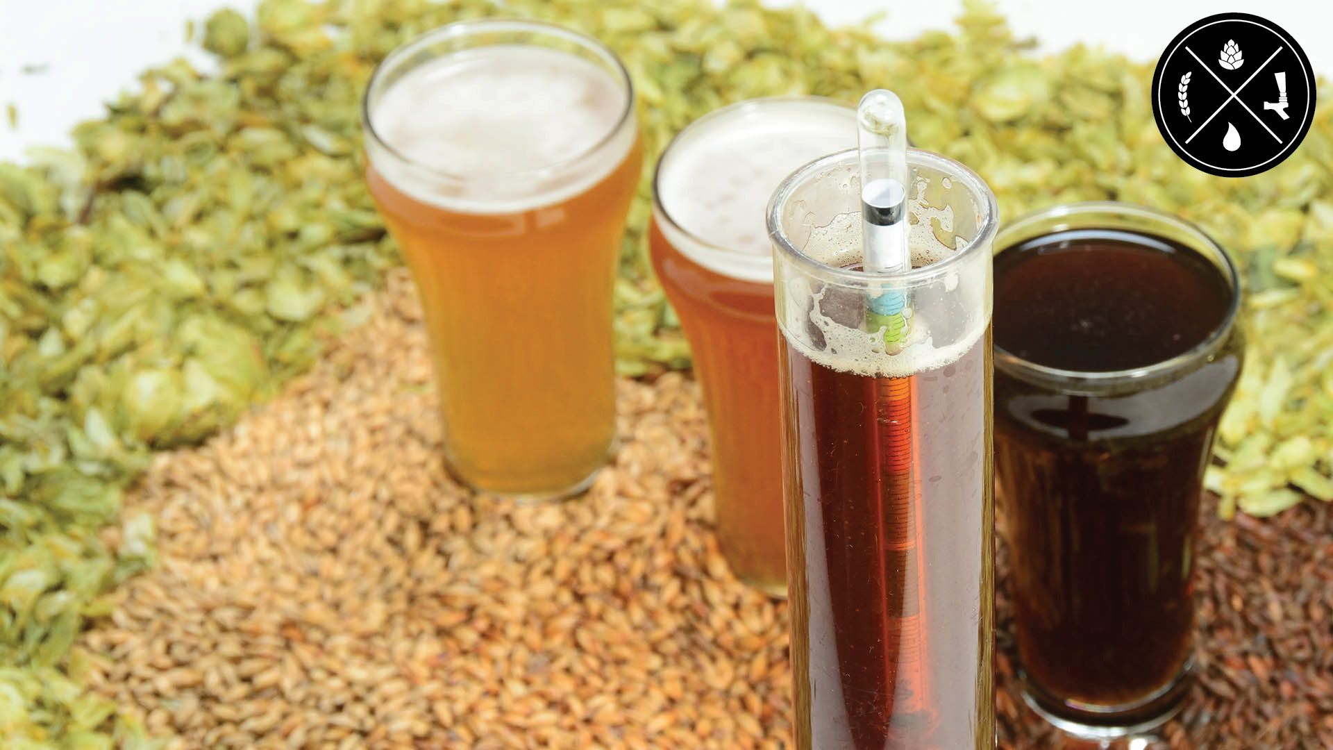 Yeast Pitch Rate for Pressure Pilsners, Gravity Readings During Active ...