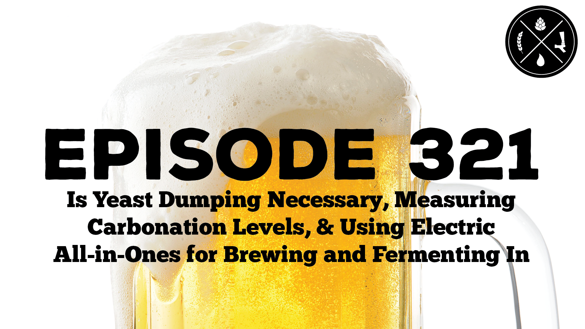 Is Yeast Dumping Necessary, Measuring Carbonation Levels, & Using Electric All-in-Ones for ...