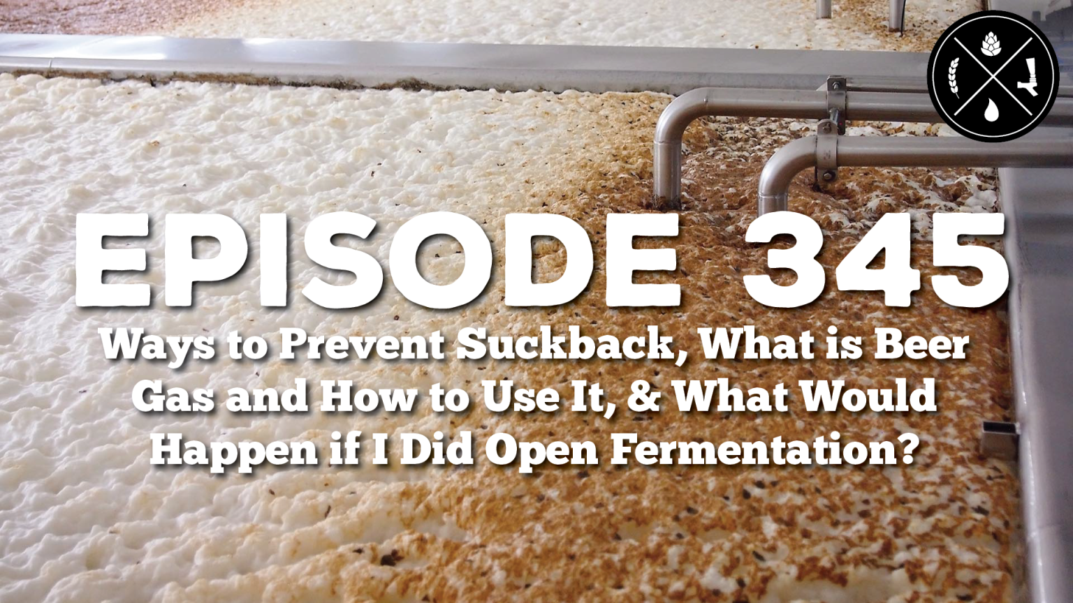 Ways to Prevent Suckback, What is Beer Gas and How to Use It, & What ...
